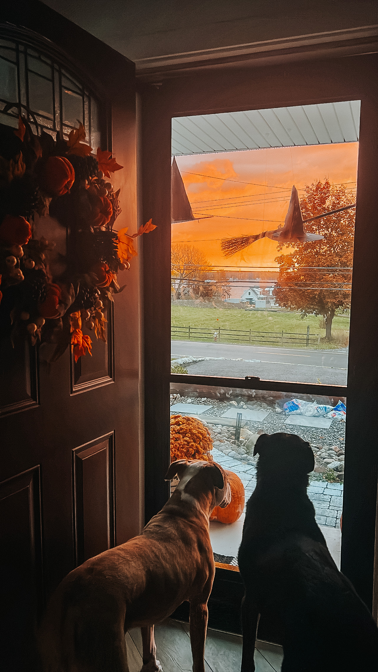 The Easiest Floating Witch Hat and Broom Decor Tutorial ...