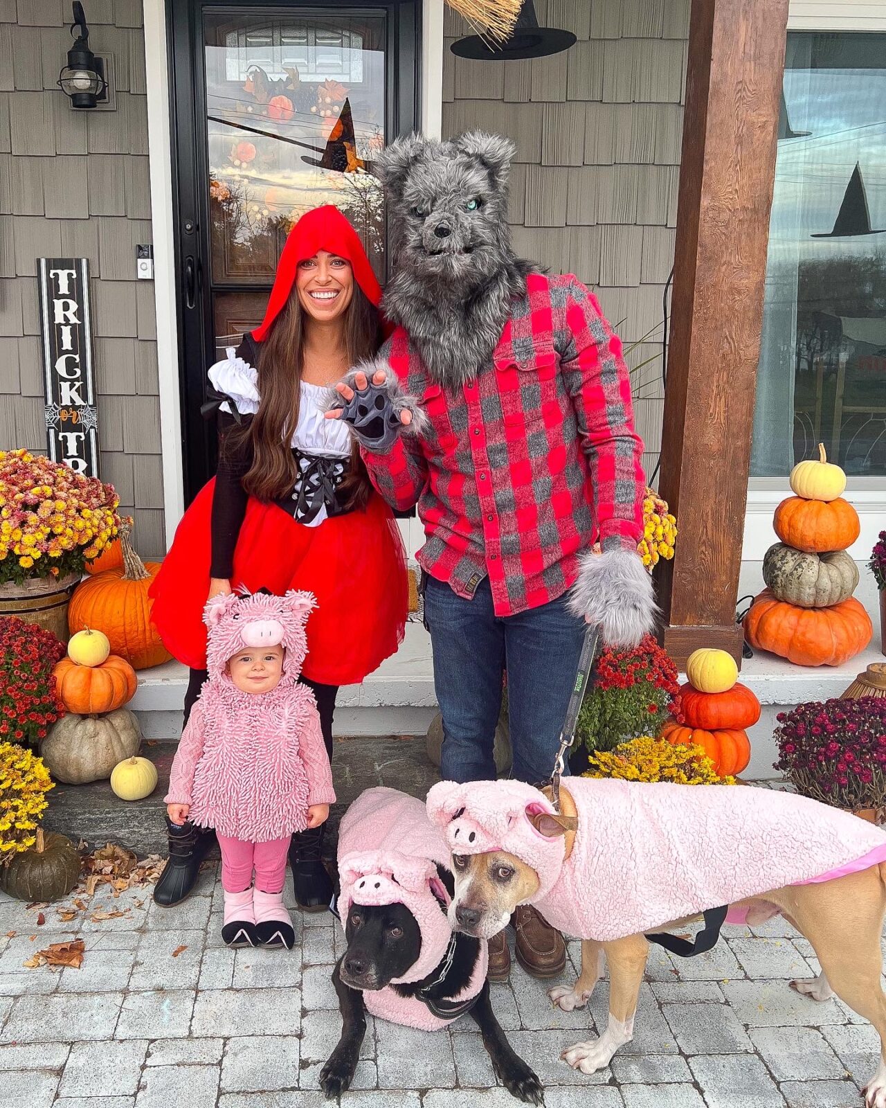 Family Halloween Costume Ideas - thedixonschwabls.com